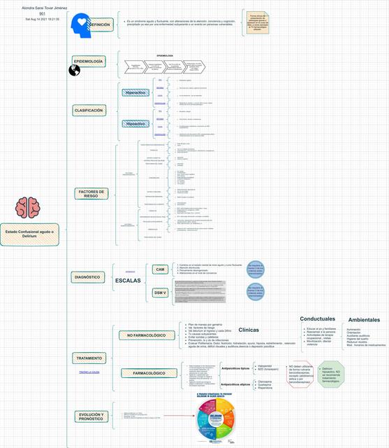 Estado Confusional Agudo o Delirium | Alondra Sarai Tovar Jiménez | uDocz