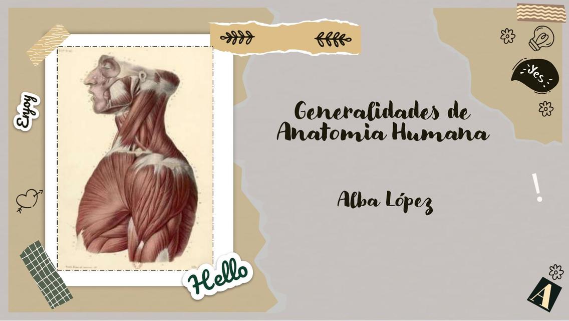 Generalidades de anatomia | uDocz