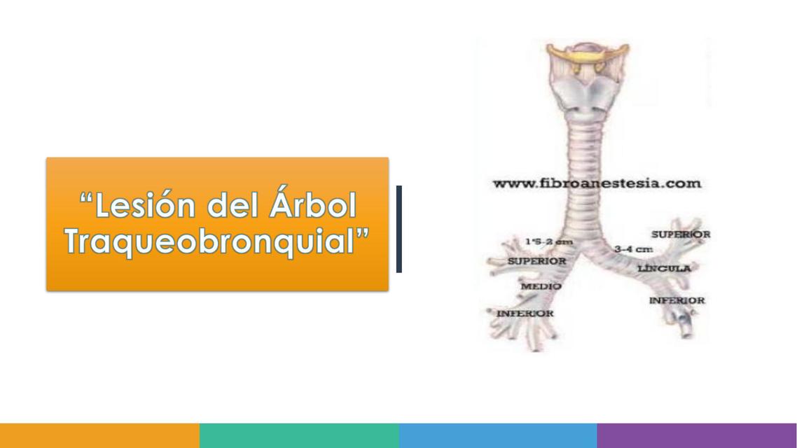 Lesión del Árbol Traqueobronquial | Ilse Rebeca Araiza Carreòn | uDocz