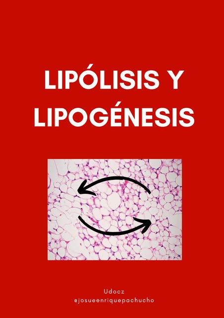 Lipólisis y Lipogénesis | Estudia Odonto | uDocz