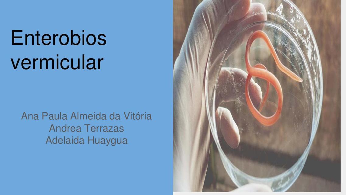 Enterobius Vermicularis | Carmen Rosa Flores | uDocz