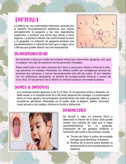 Resúmenes de Difteria | Descarga apuntes de Difteria