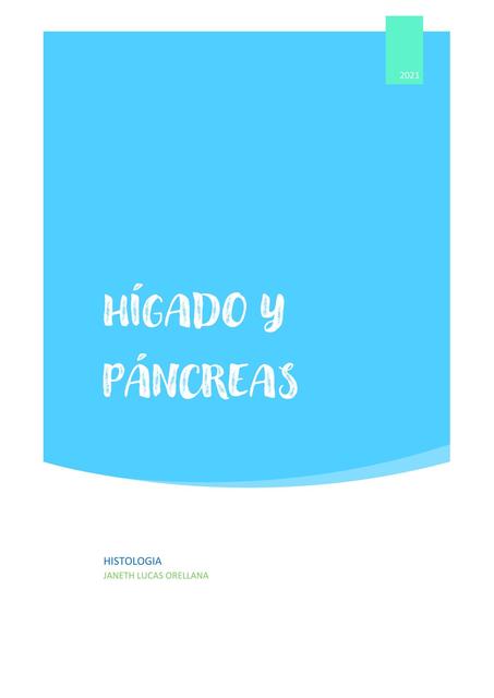Hígado y Páncreas | Janeth Lucas | uDocz