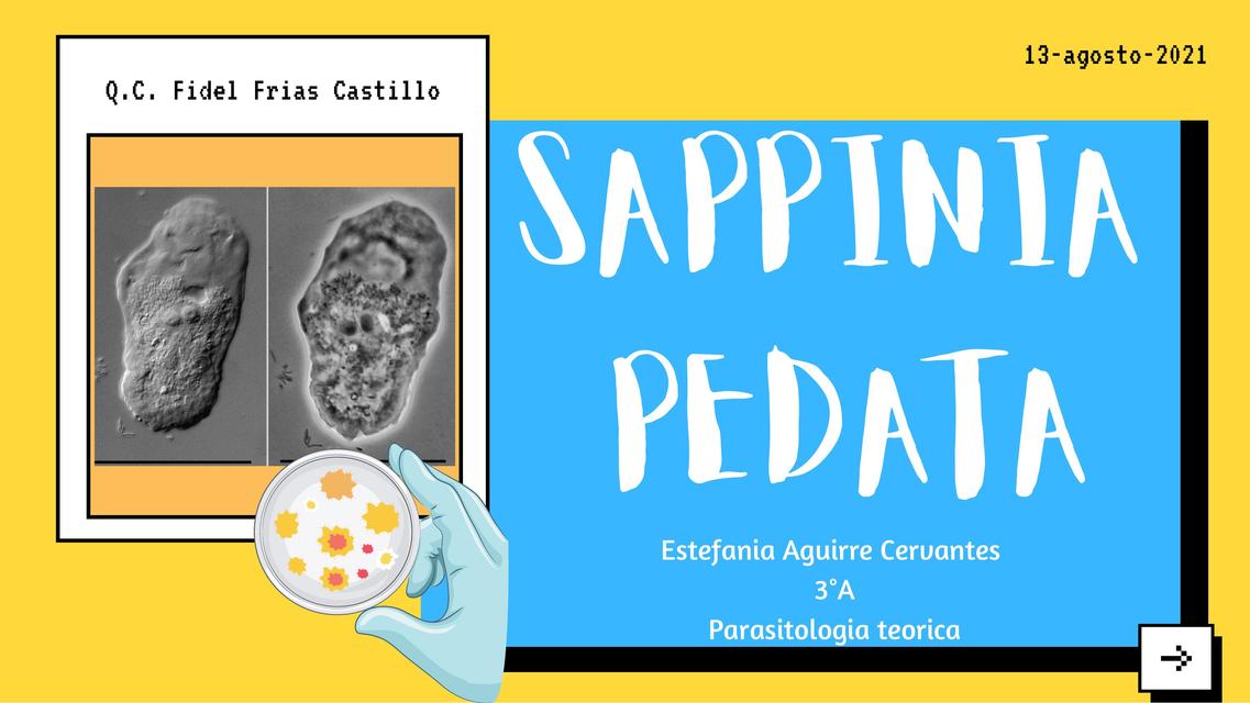 Sappinia Pedata | TRIPLE GALAXY | uDocz