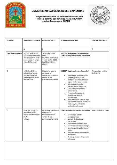 Formato para Manejo del PAE | Kimberly GR | uDocz
