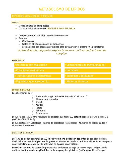 Metabolismo De Lipidos