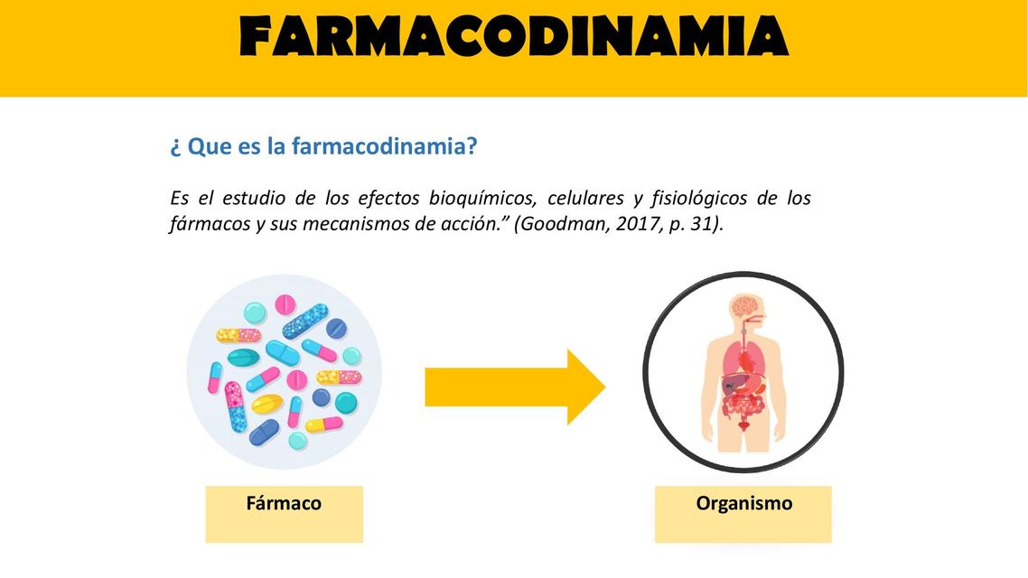 Farmacodinamia I y II | Lisber | uDocz