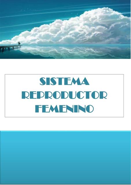 Anatomía del Sistema Reproductor Femenino | Minerva Peralta | uDocz