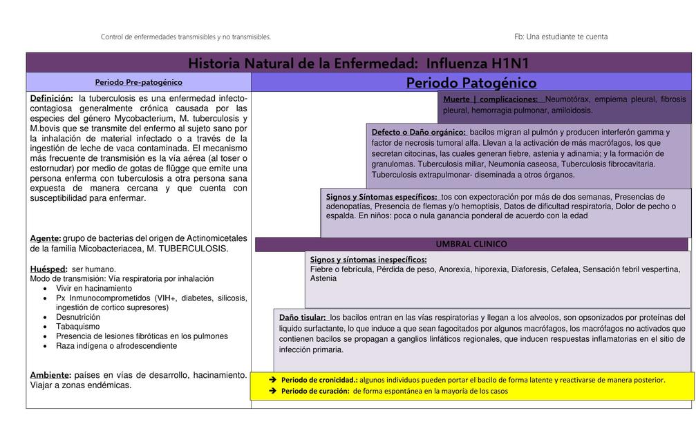 HNE TUBERCULOSIS | Gretel Vargas | uDocz