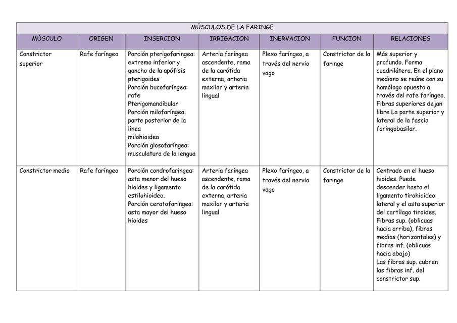 Músculos de la faringe | uDocz