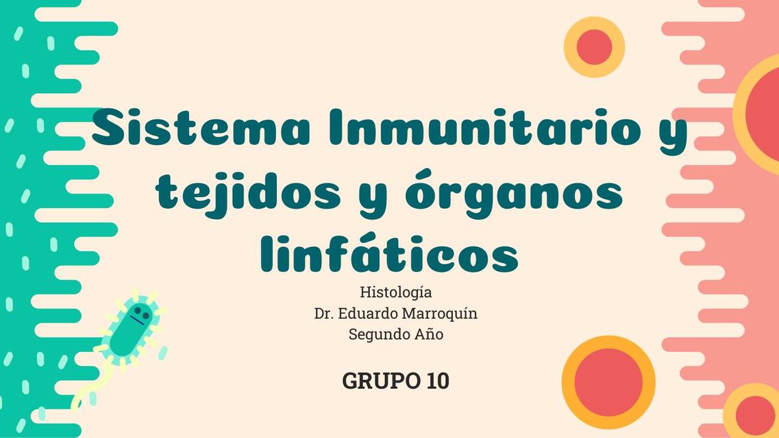 Sistema Inmunitario y tejidos y órganos linfáticos | Melany | uDocz