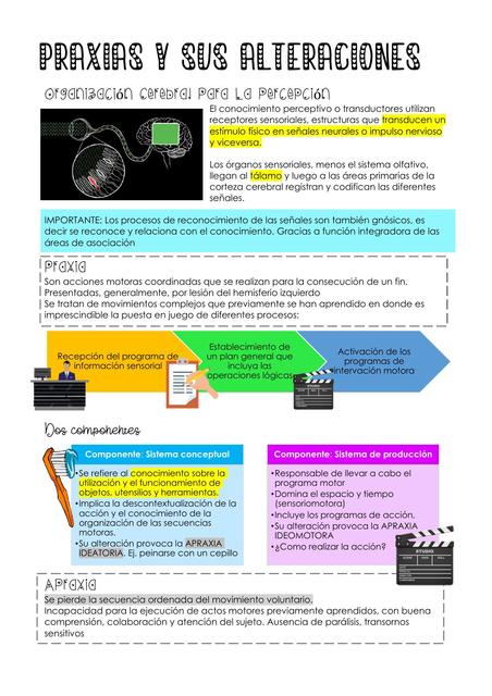 Praxias y sus alteraciones | Melanie | uDocz