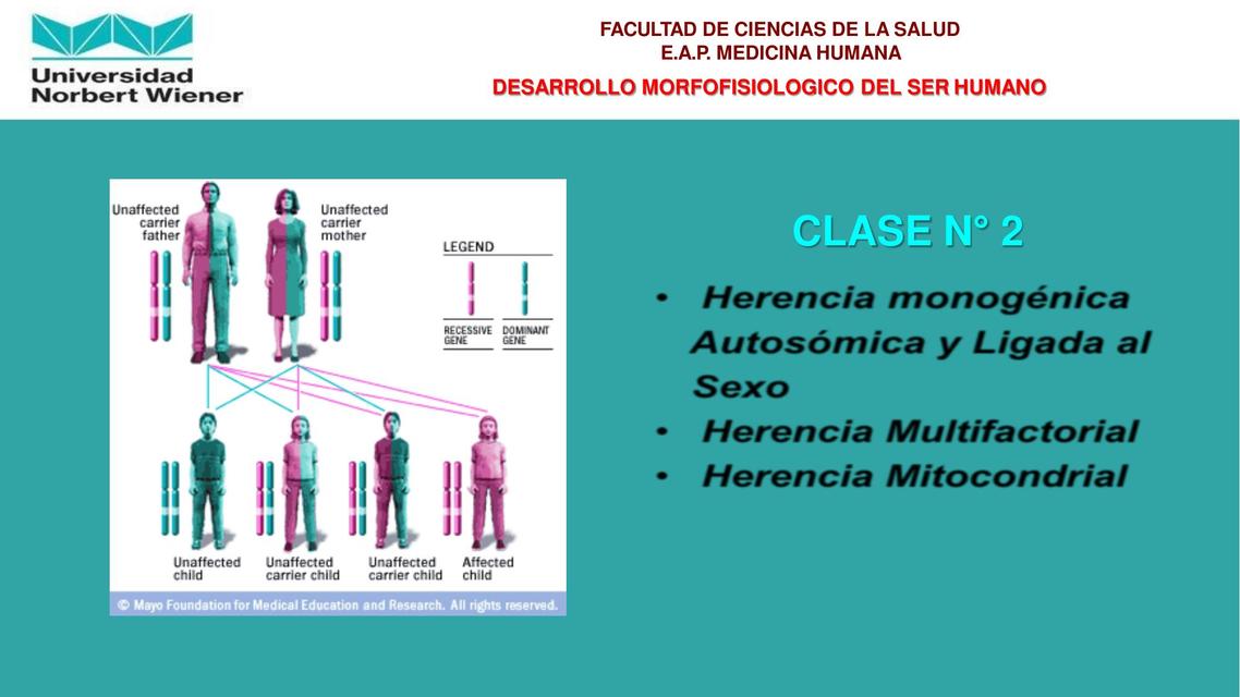 EMBRIOLOGÍA - CLASE II (HERENCIA MONOGÉNICA MULTIFACTORIAL Y MITOCONDRIAL) | Dtvs_21 | uDocz