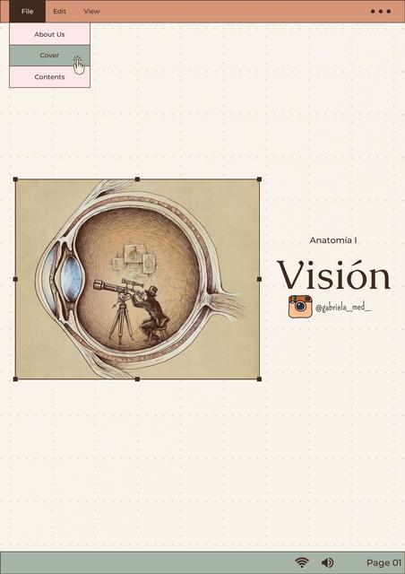 Anatomía de la visión | Gabriela Med | uDocz