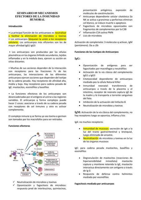 Inmuno Mecanismos Efectores de Inmunidad Humoral | Nayelia | uDocz