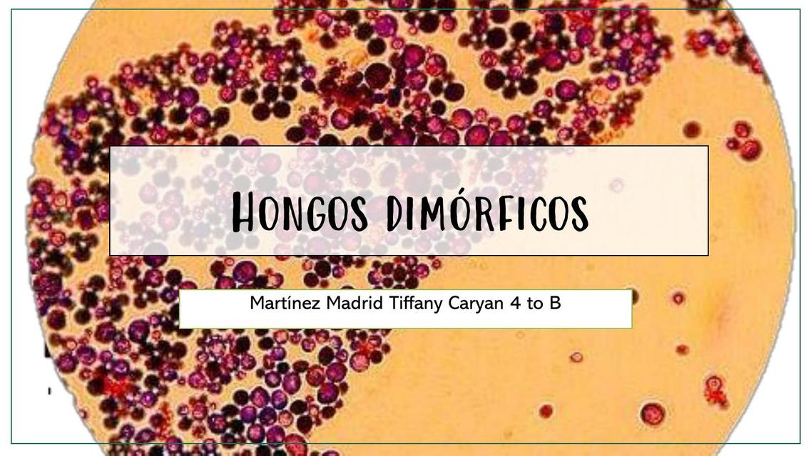 Hongos Dimórficos