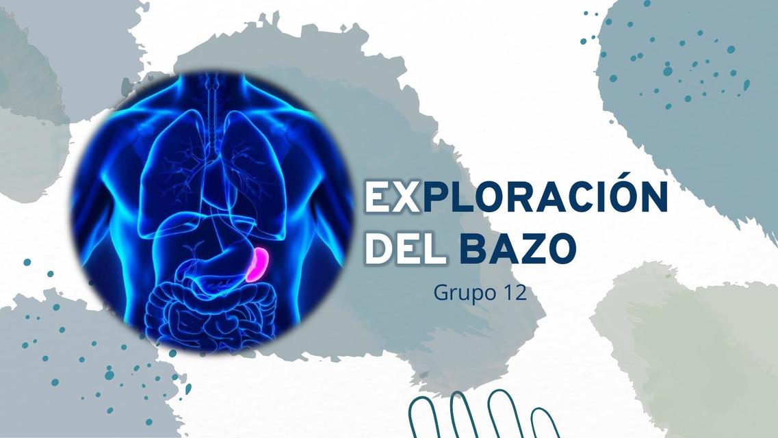 Exploración del Bazo | Ilse Jiménez | uDocz