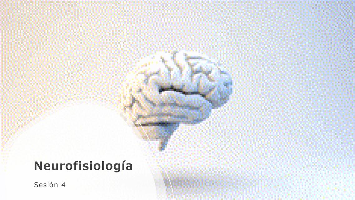 Neurofisiología | Elena Hernandez | uDocz