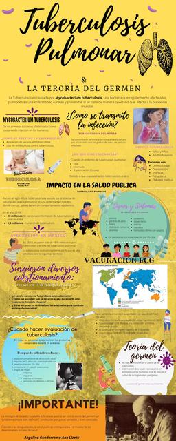 INFOGRAFÍA de tuberculosis Pulmonar y su epidemiología | Lizeth ...