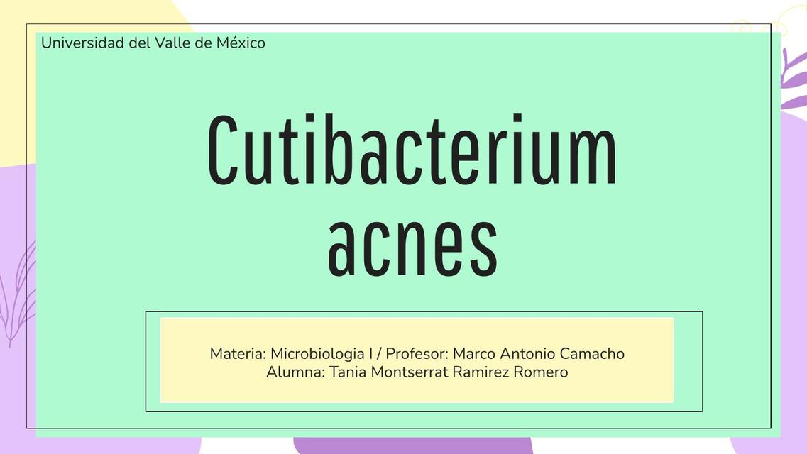 Cutibacterium acnes | Tania Ramirez | uDocz