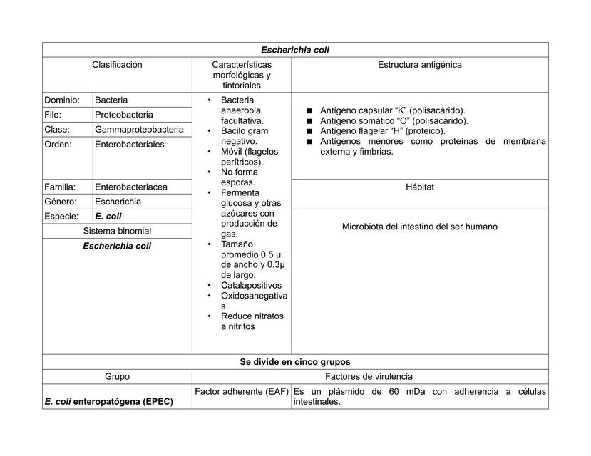 Escherichia coli | Genesis Ramirez | uDocz