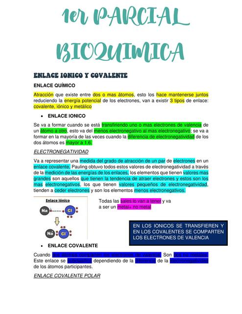 1er Parcial Bioquímica
