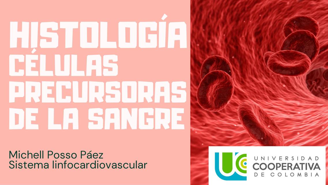 Histología Células Precursoras de la Sangre | Michelle Posso Páez | uDocz