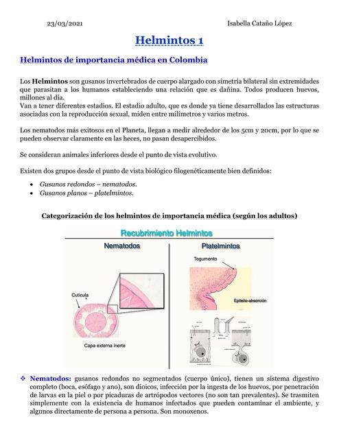 Helmintos | Isa Cataño | uDocz