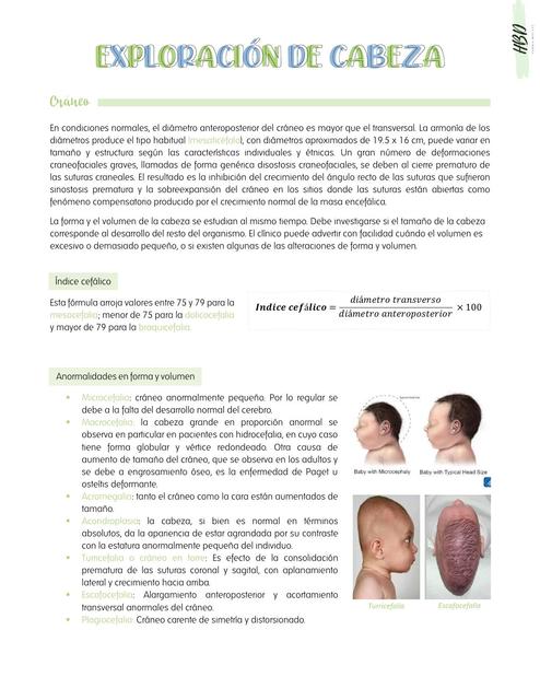 Exploración de cabeza | HannMed | uDocz