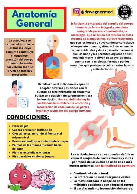 ANATOMIA GENERAL | uDocz creators | uDocz