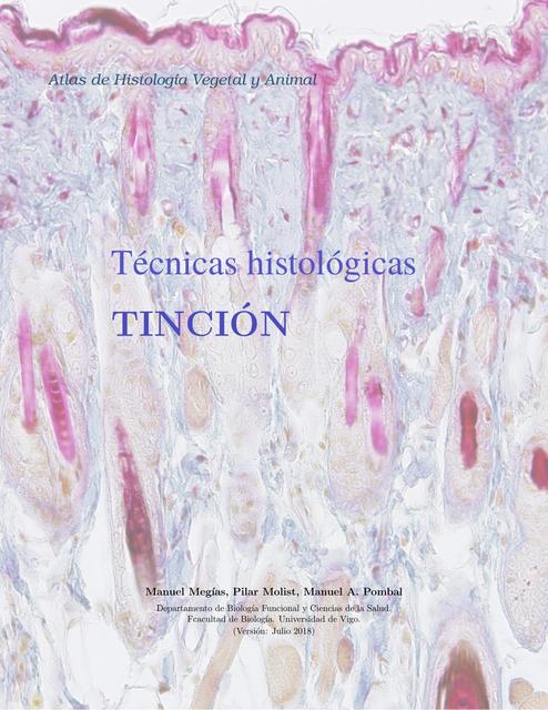 Resúmenes de Tinciones histológicas | Descarga apuntes de Tinciones ...