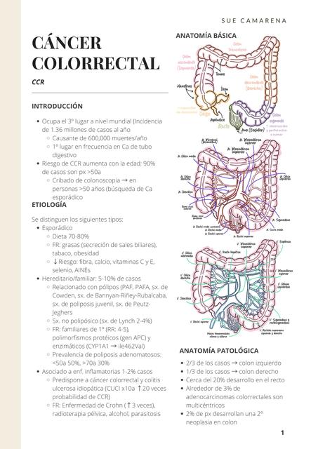 Cáncer colorrectal | Pastillas para Llevar | uDocz