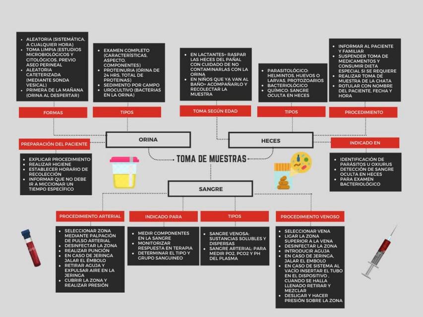 Toma de Muestras | Sabrina Cornelio | uDocz