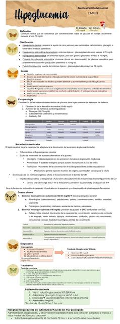 Hipoglucemia | Monserrat Montes | uDocz