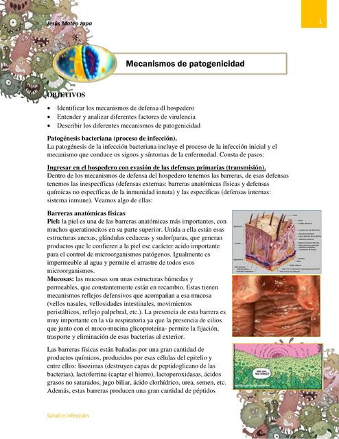 Mecanismos de patogenicidad de las bacterias | jesus mateo zapa | uDocz Mecanismos de patogenicidad de las bacterias | jesus mateo zapa | uDocz