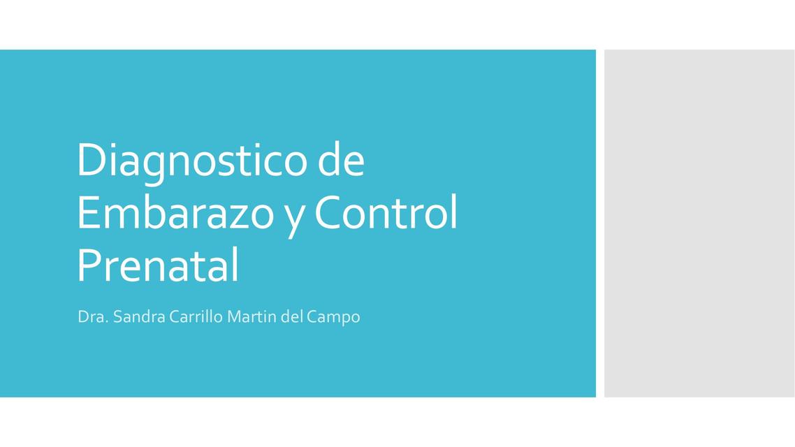Diagnostico de Embarazo y Control Prenatal | Tnis Mx | uDocz
