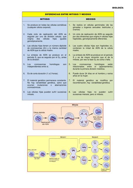 Diferencia Entre Mitosis Y Meiosis Cuadros Comparativos E Cuadros