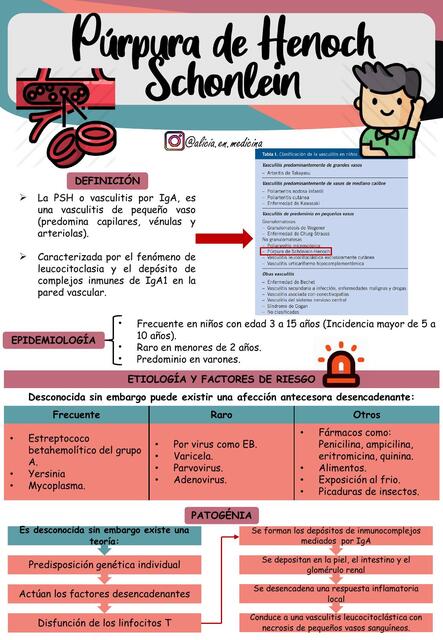 Flashcards de Púrpura de Henoch Schonlein Pediatría | Por Alicia en ...