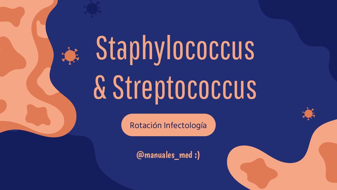Flashcards de Staphylococcus Streptococcus | Por Manuales Medicina | uDocz