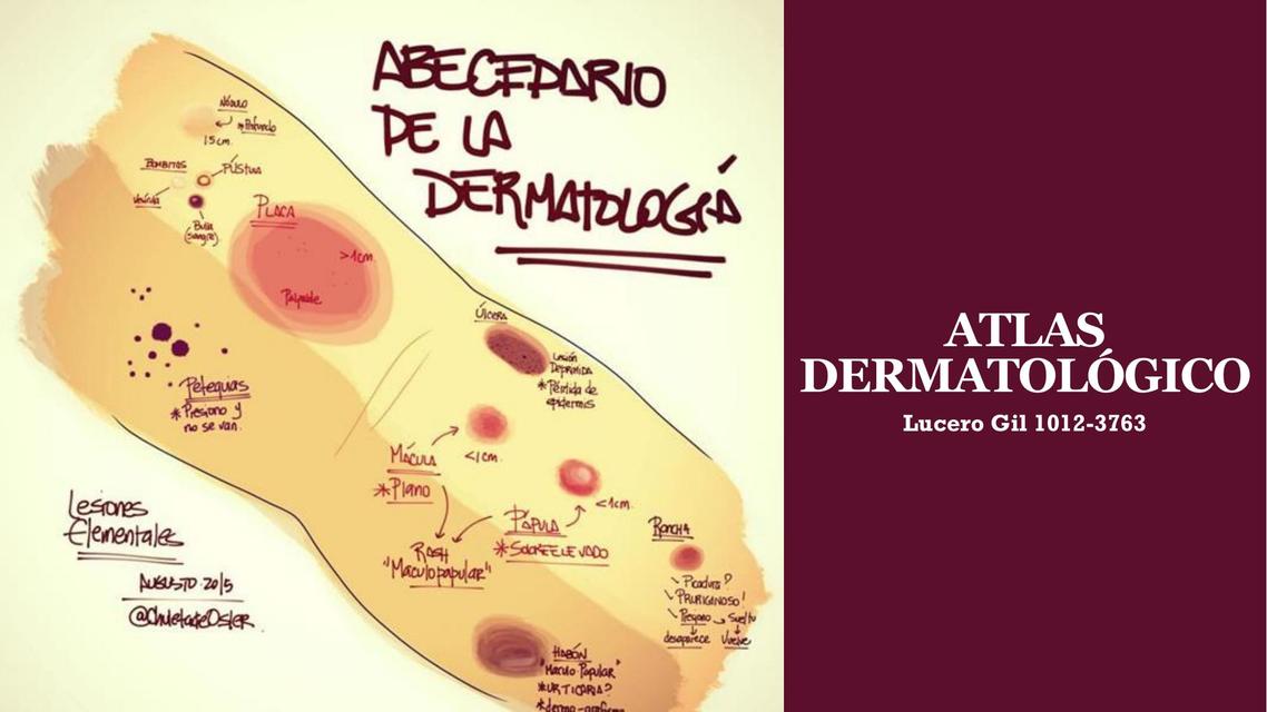 ATLAS DE DERMATOLOGIA | iMedRD | uDocz