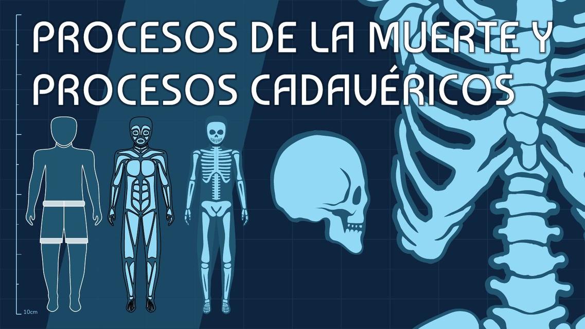 Procesos de la muerte y procesos cadavéricos | Medicine_lu | uDocz
