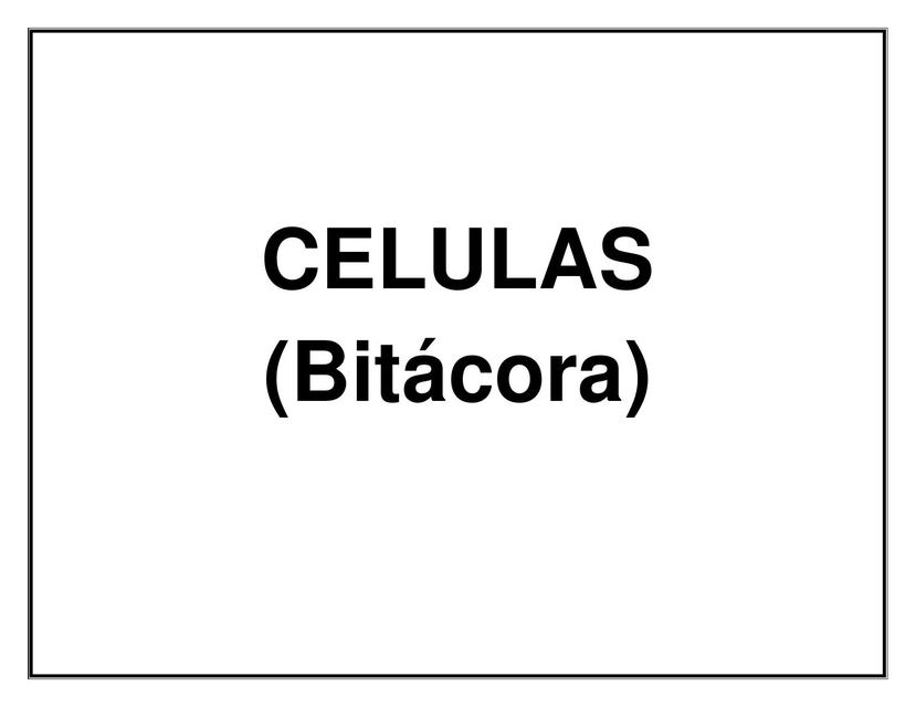 Bitacora de celulas | Yerei | uDocz