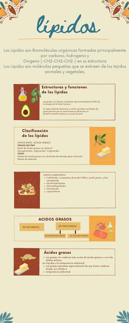 Lípidos | Dra. Mariahhh | uDocz