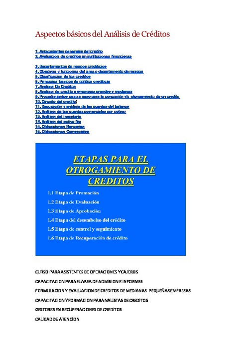 Aspectos Básicos Del Análisis De Créditos | Elvis Flores | uDocz