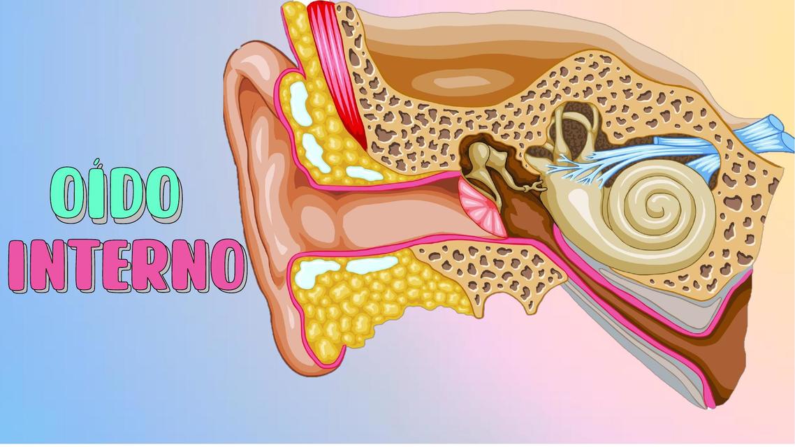 Oído interno | Jazmín Enríquez | uDocz