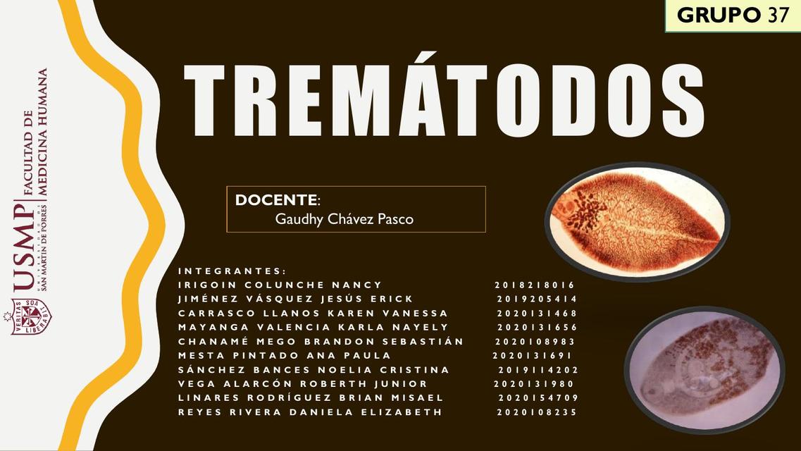 Tremátodos | Karen Vanessa Carrasco Llanos | uDocz