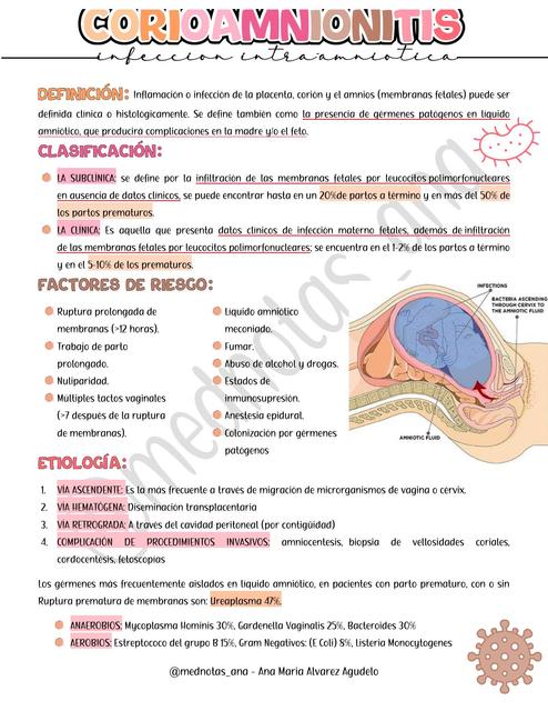 Resúmenes de Corioamnionitis | Descarga apuntes de Corioamnionitis