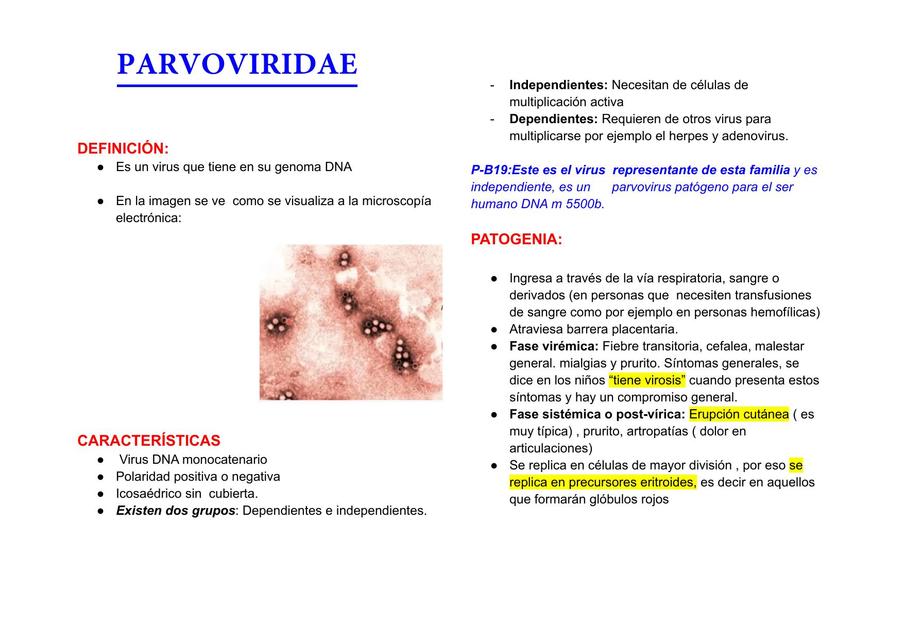 Parvoviridae | Hilary Valdez | uDocz