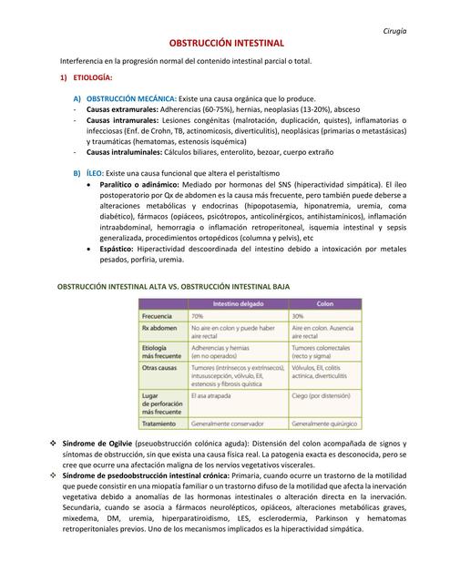 OBSTRUCCIÓN Y PERFORACIÓN INTESTINAL | LaDoc | uDocz