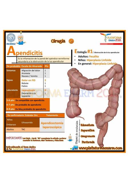 Flash cards de cirugía general | apuntesmedicos.peru | uDocz